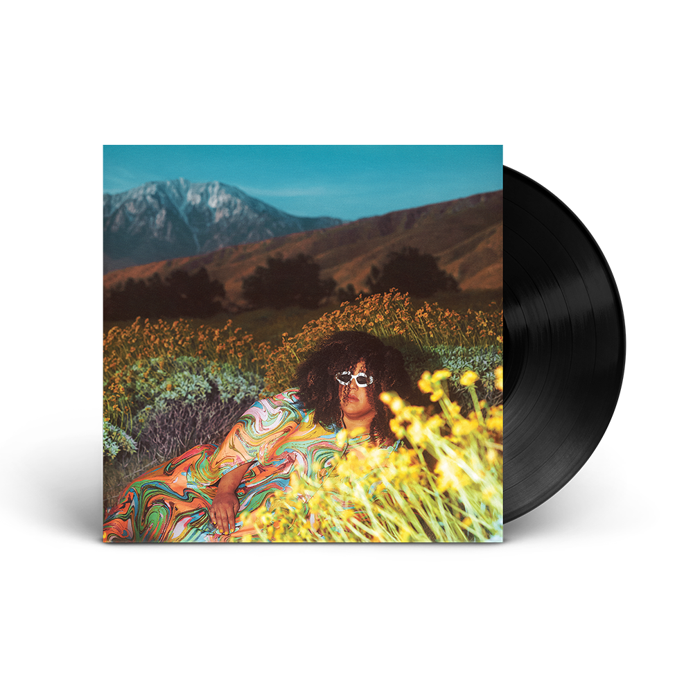 What Now Standard Vinyl - Brittany Howard Official Store